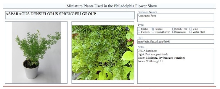 Download a miniature plant database – Flower Show Miniature Settings